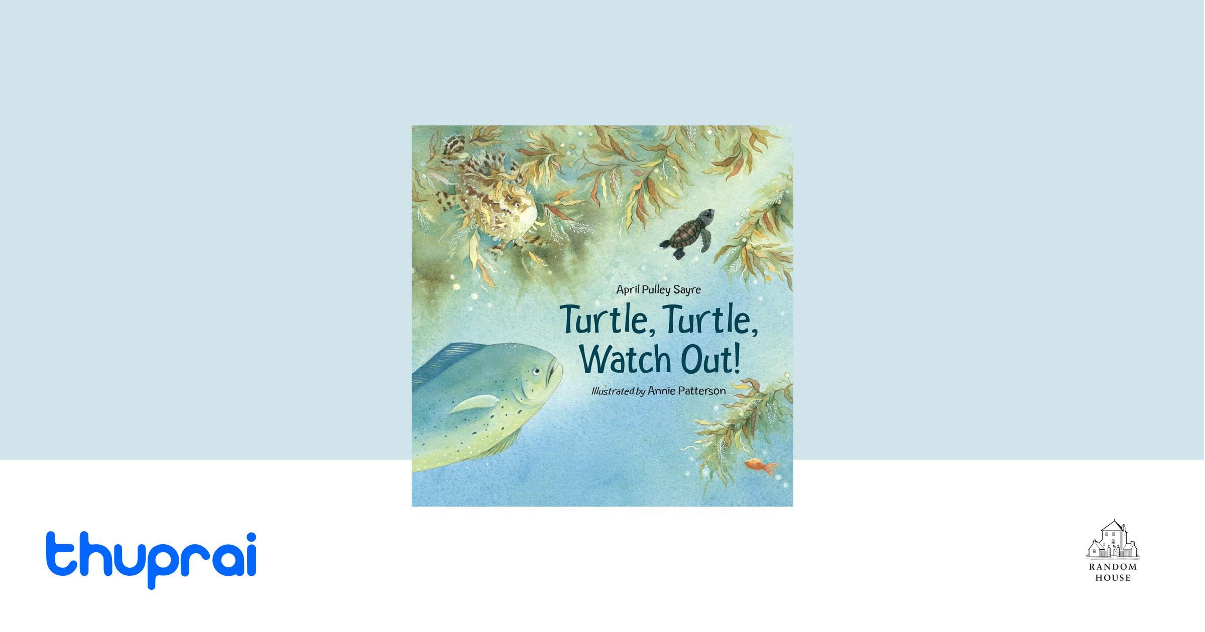 Buy Turtle, Turtle, Watch Out! in Nepal | Thuprai