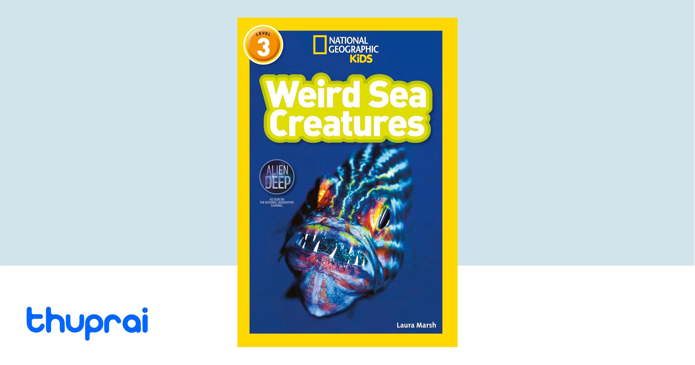 Buy Weird Sea Creatures in Nepal | Thuprai