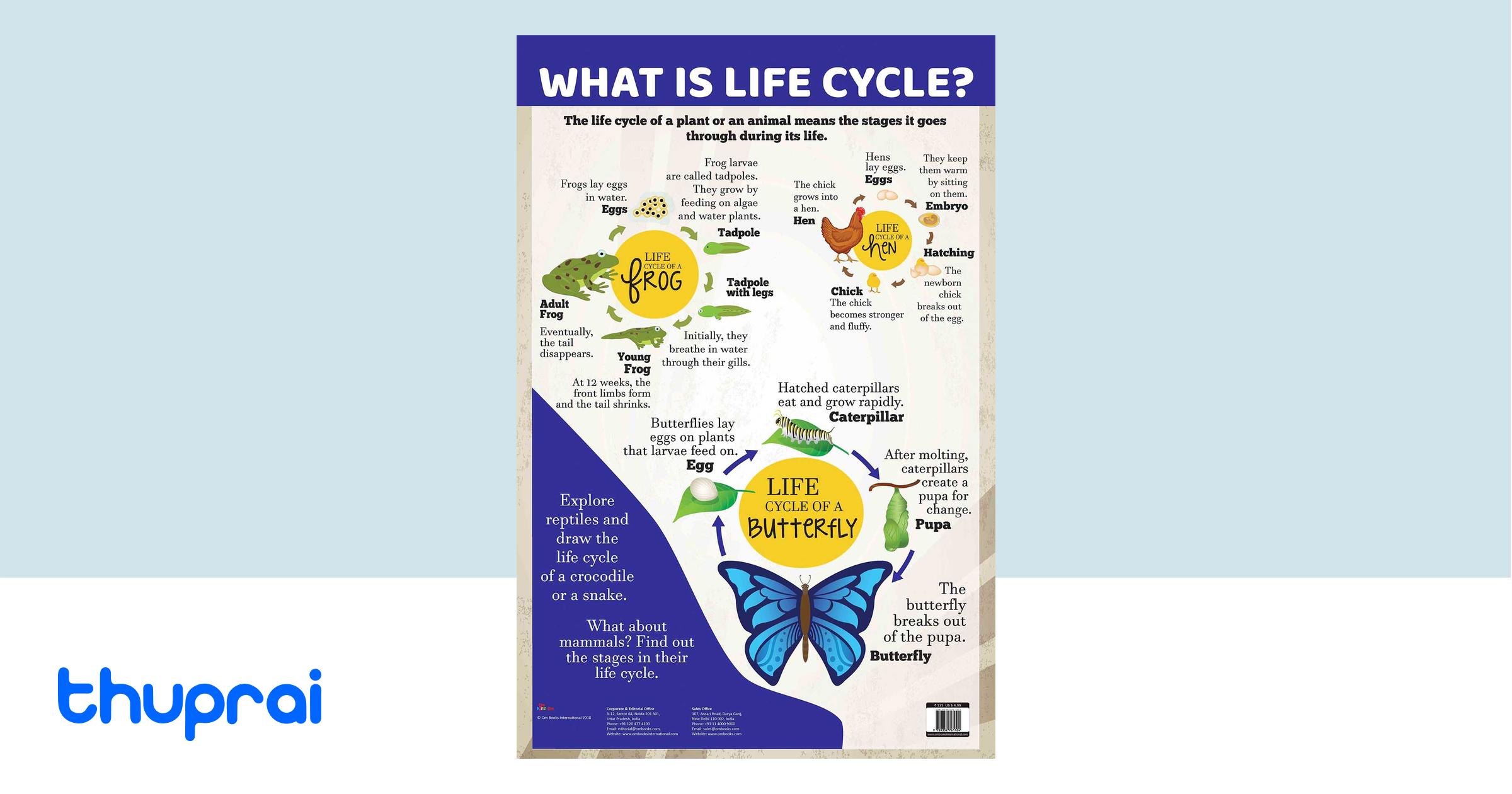 What is Life Cycle? : Charts - Om Books Editorial Team | Thuprai