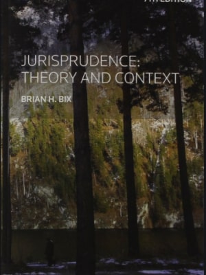 Lloyd's Introduction to Jurisprudence - Michael Freeman, Dennis Lloyd ...